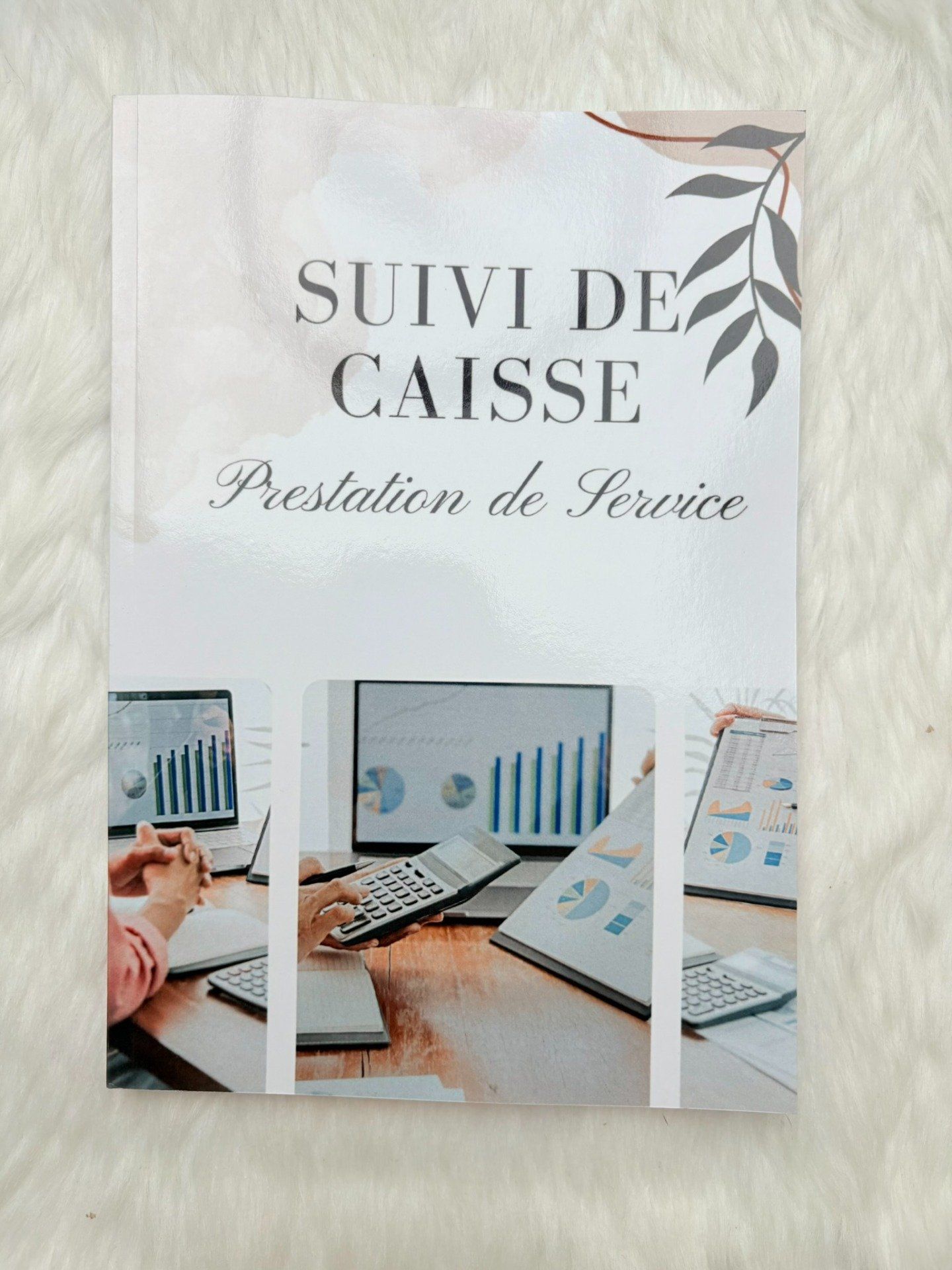 Suivi de caisse - Prestation de Service - Budgetisercooperer
