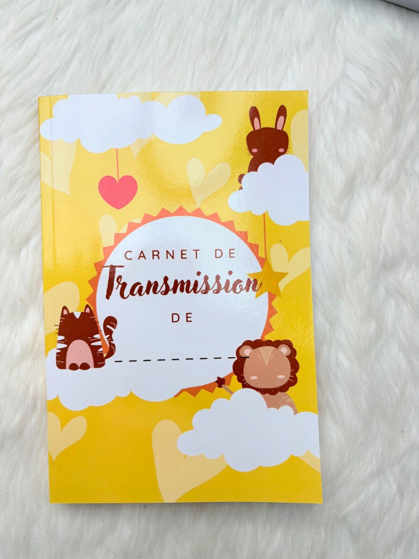 Carnet de Transmission Nounou Parents - 150 Jours - Suivi Quotidien ...